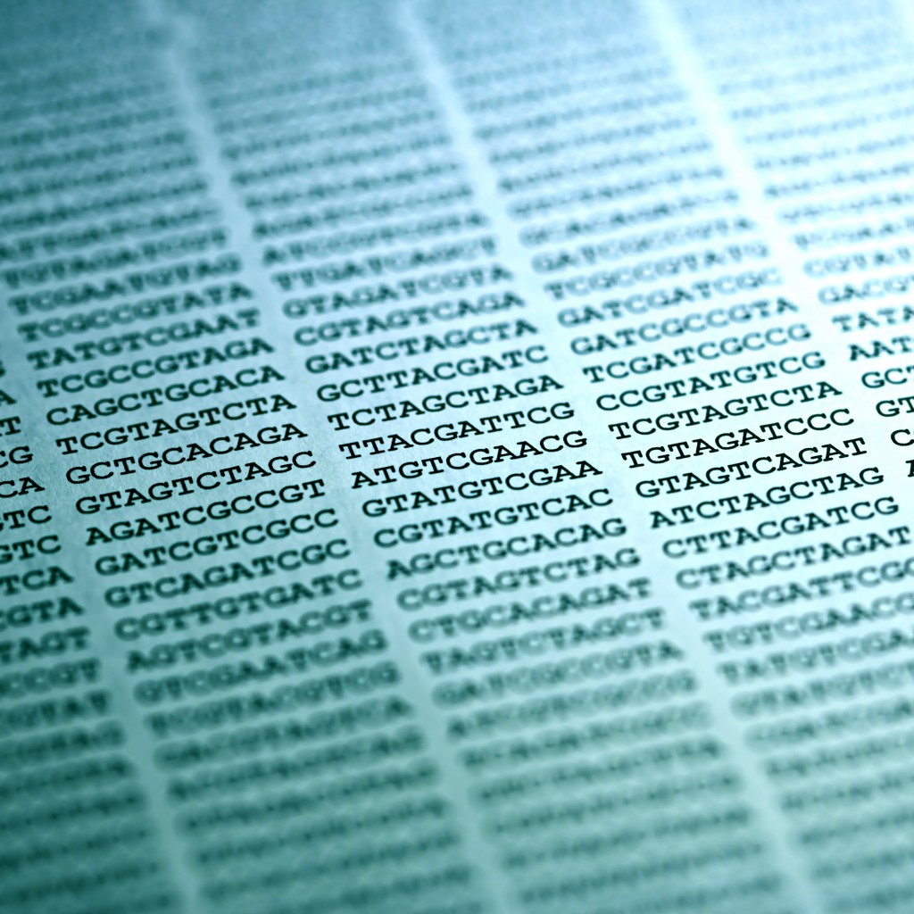 SMA-Related Genes' Copy Number Influences Disease Severity