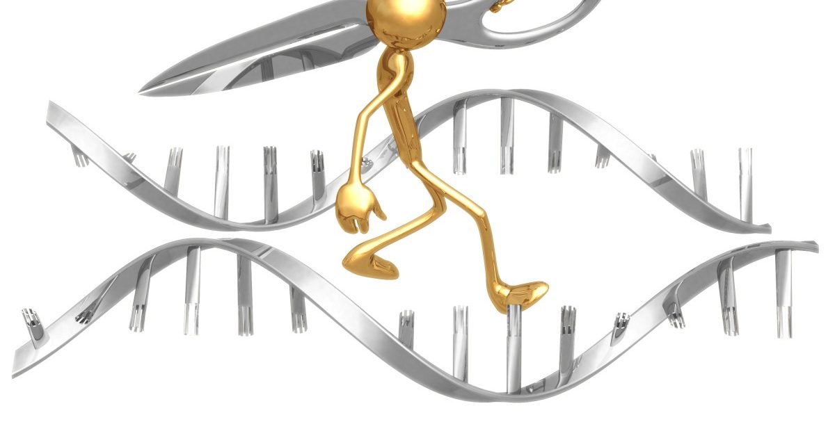 Gene Targeting Therapy Investigated in SMA Cells