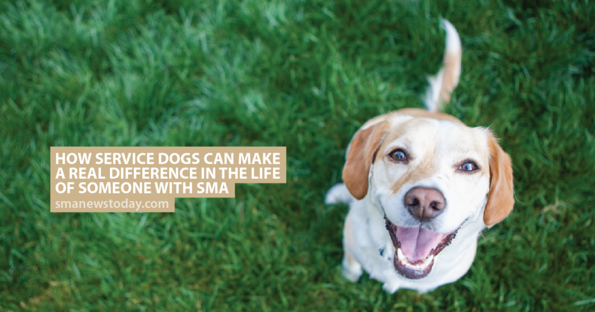 How Service Dogs Can Make a Real Difference in the Life of Someone With ...