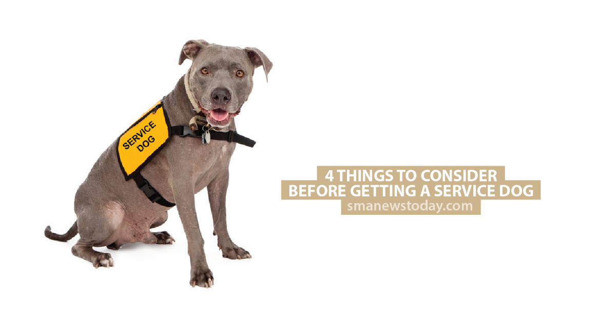 4 Things to Consider Before Getting a Service Dog | SMA News Today
