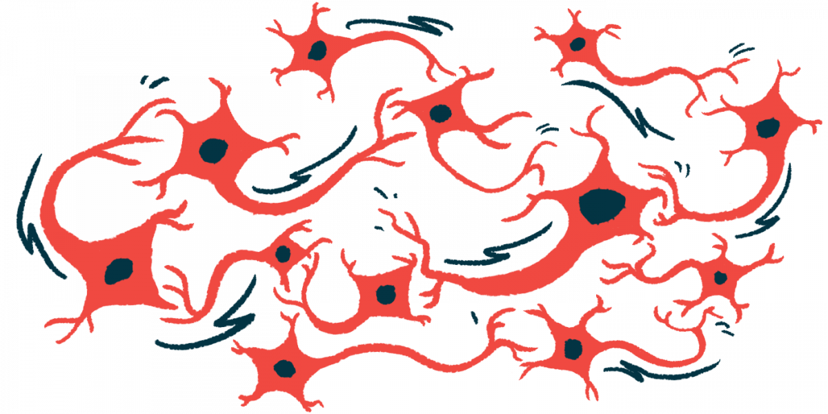 Molecular Feedback Loop May Explain SBMA Neuron Damage | SMA News Today