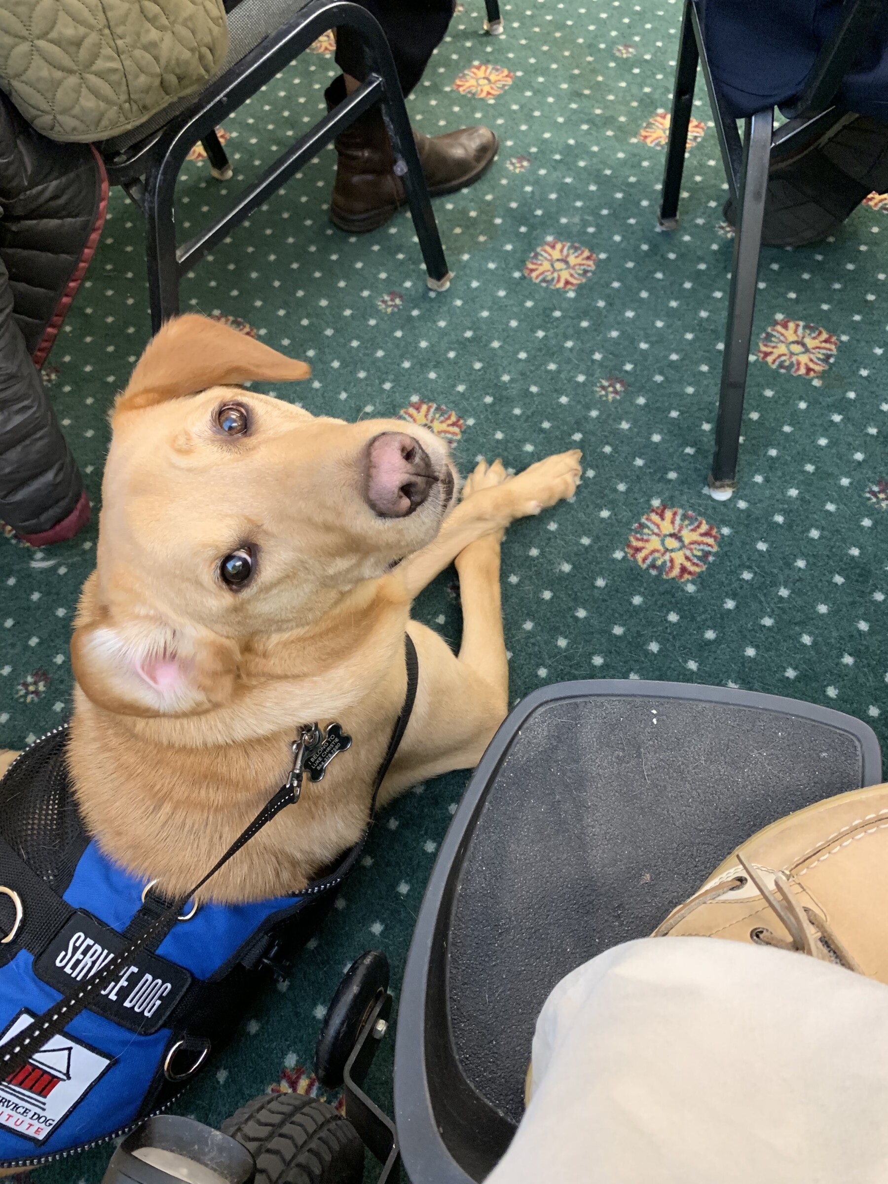 On growing up, moving out … and coming back home | SMA News Today